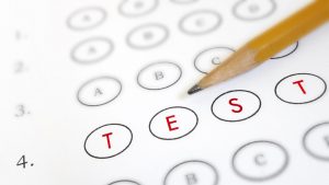 11 Plus Exam Sample Questions - 11 Plus Blocks