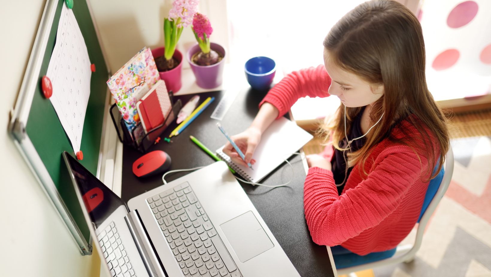 11 Plus Exam Preparation Guide and Tips - 11 Plus Blocks