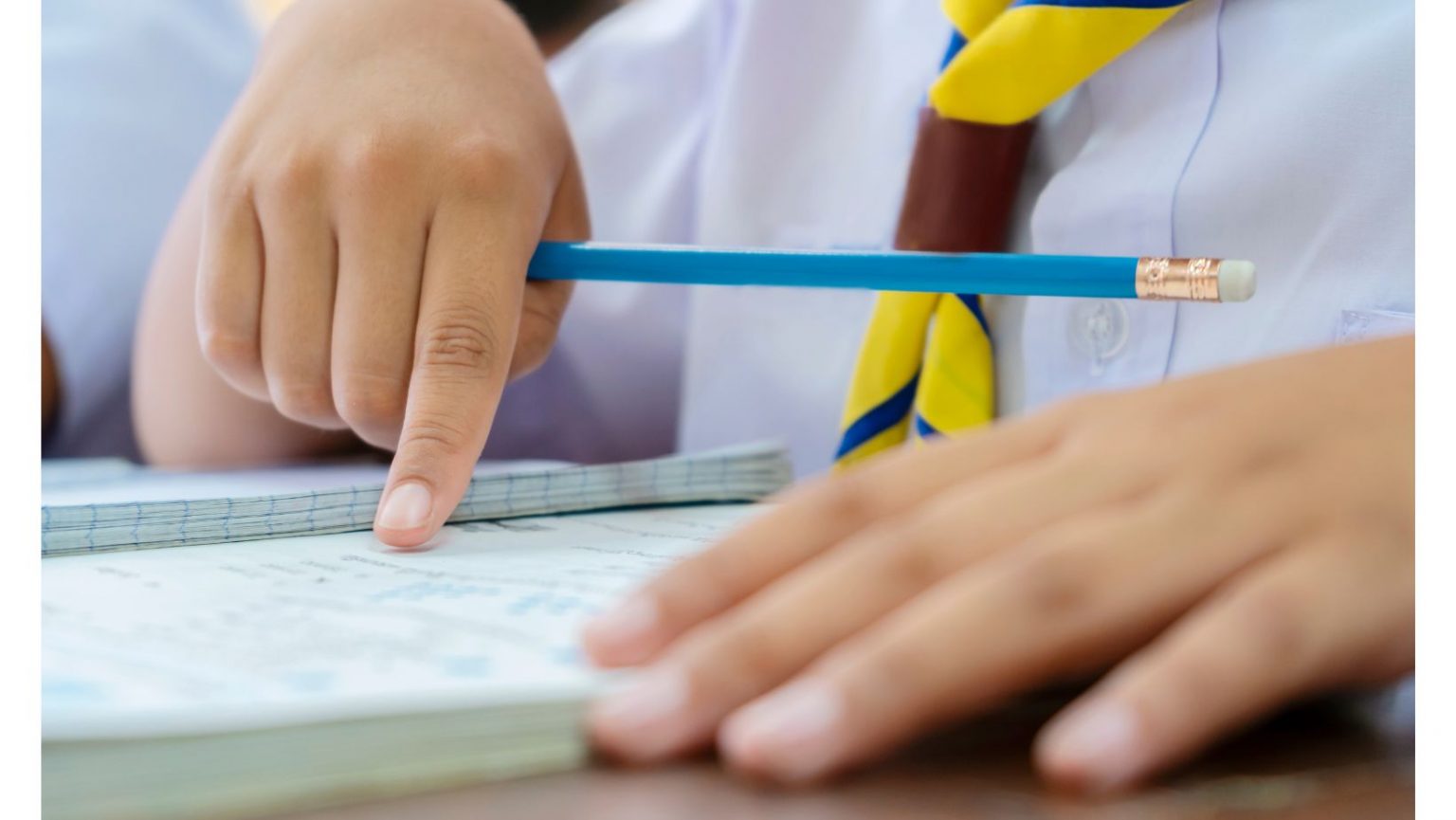 What is on the 11 Plus Verbal Reasoning Exam? - 11 Plus Blocks