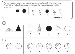 11 Plus Exam Sample Questions - 11 Plus Blocks